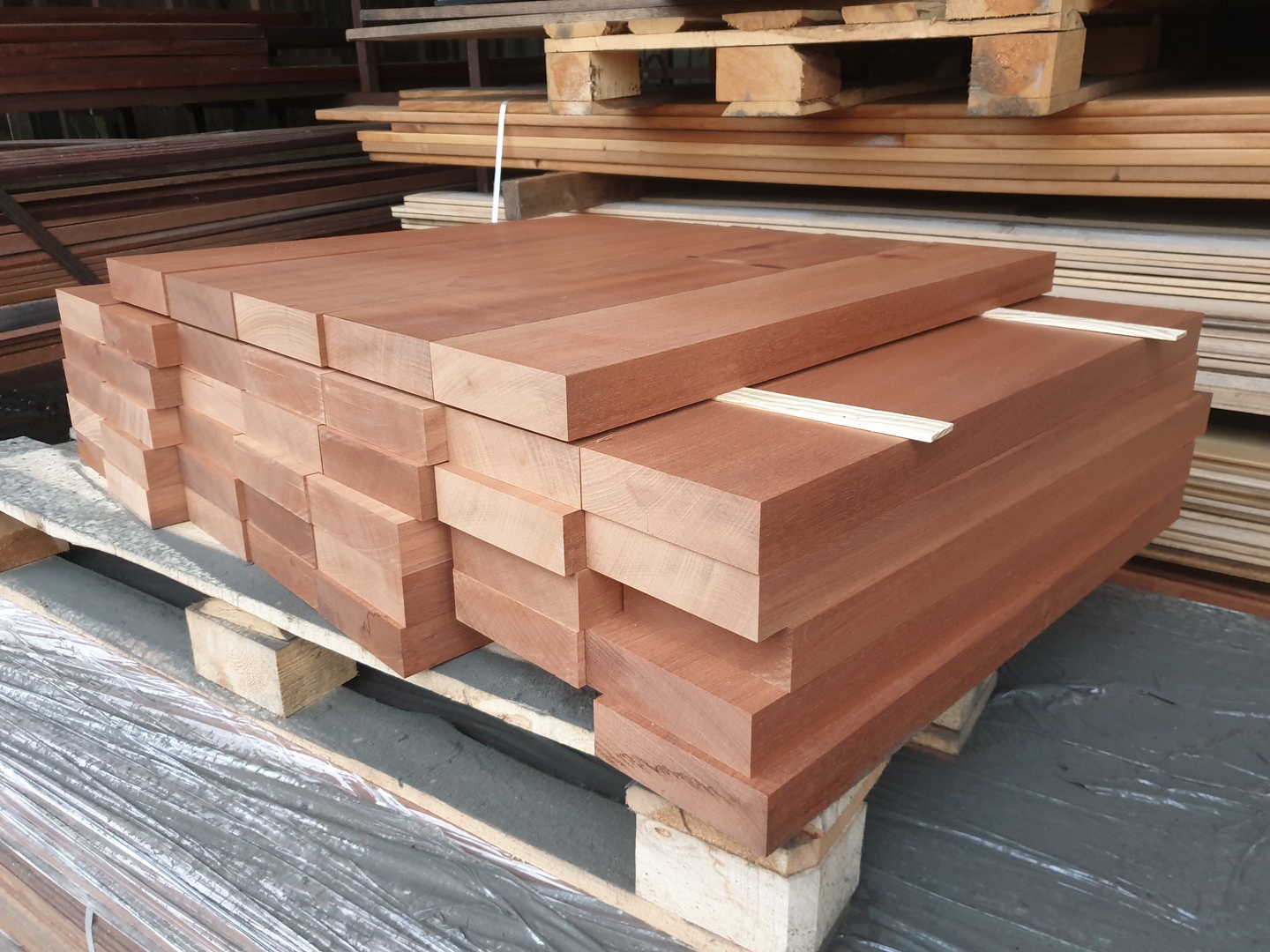 MAHONIE 44 x 144mm 40 stuks van 71 cm