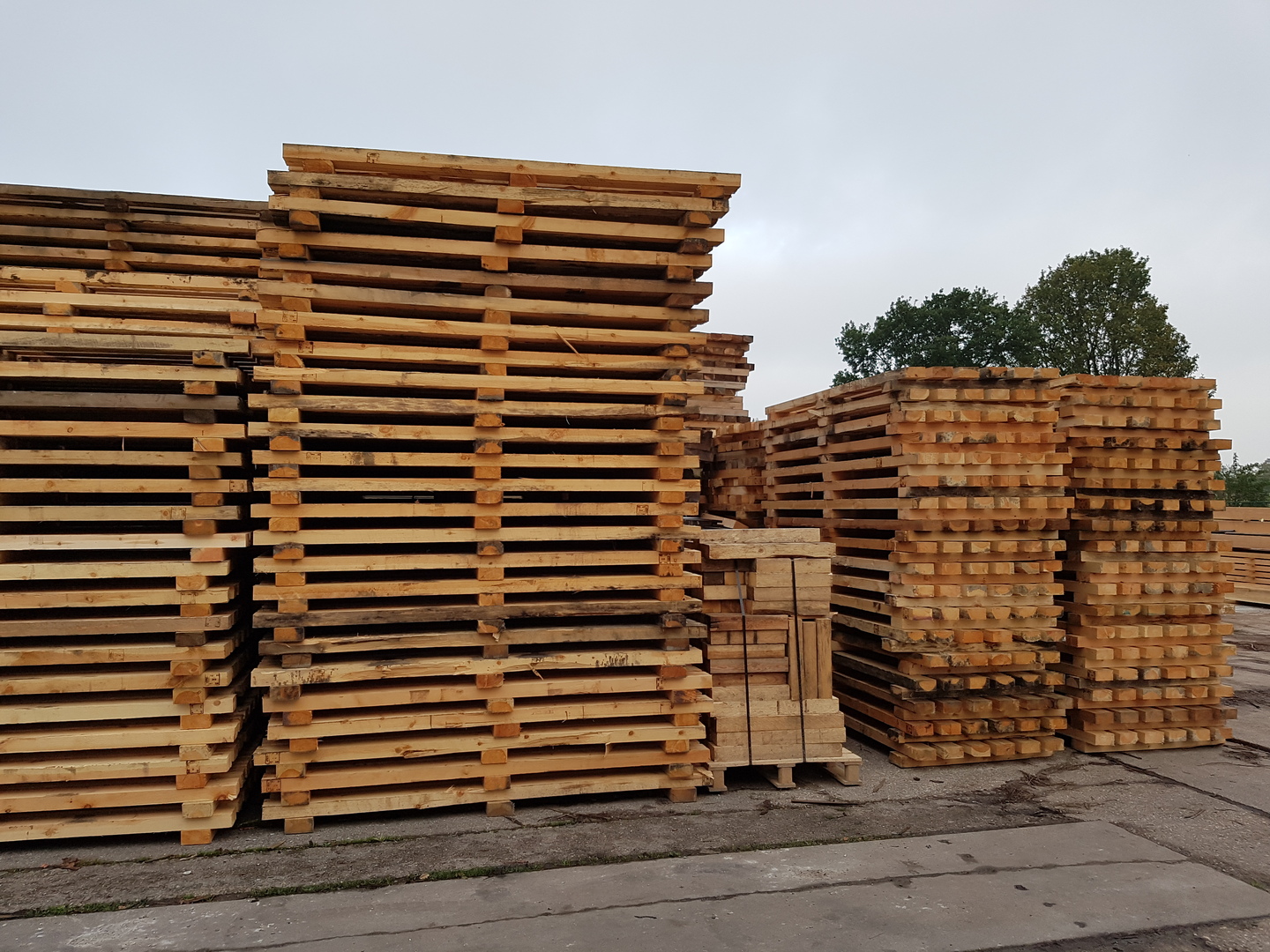 Zware Pallets 100 x 230 cm eenmalig gebruikt