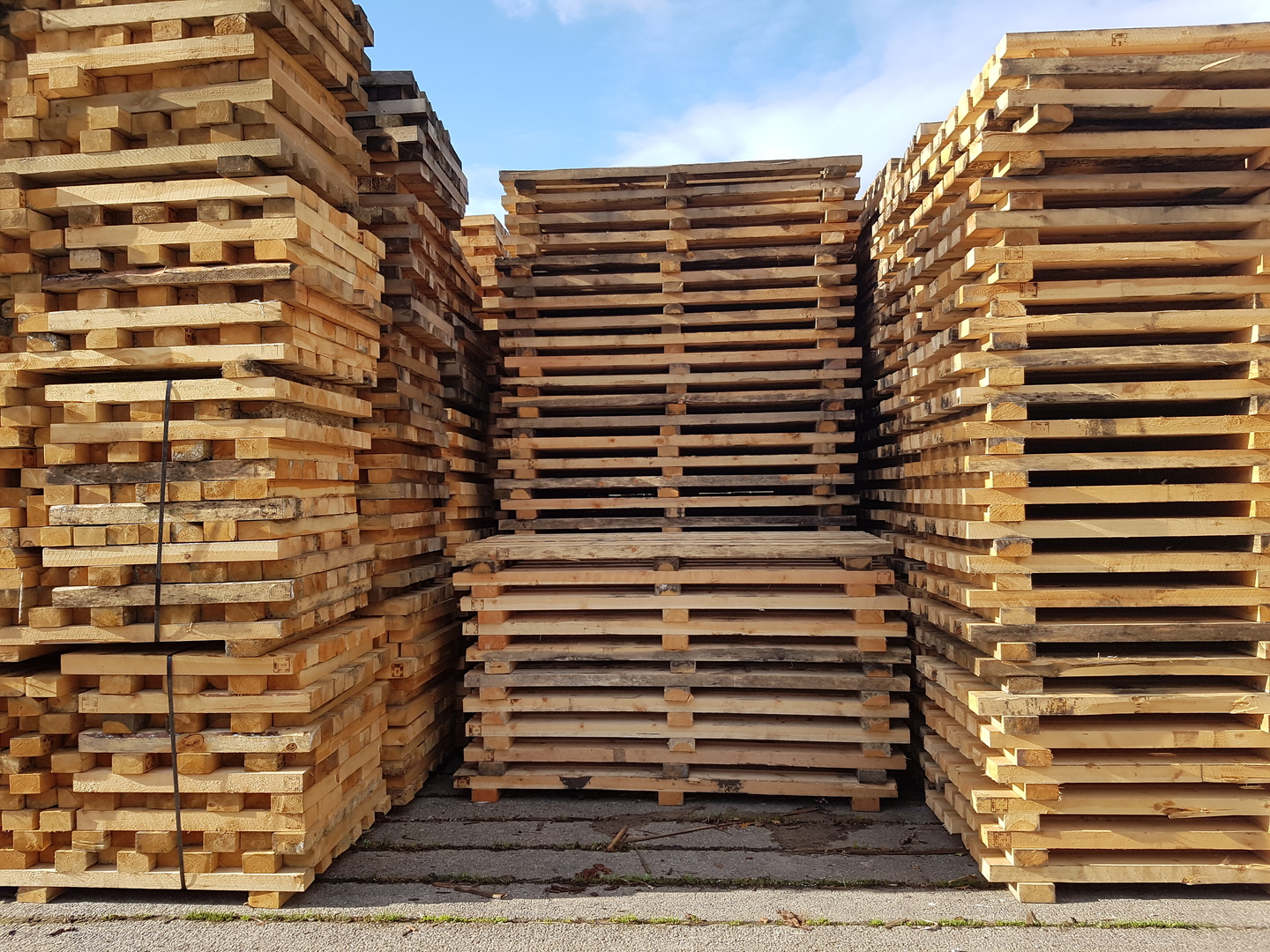 Zware Pallets 100 x 230 cm eenmalig gebruikt